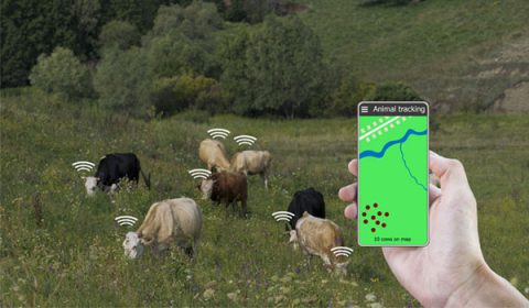 Asset Tracking For Agriculture | TALOSYS